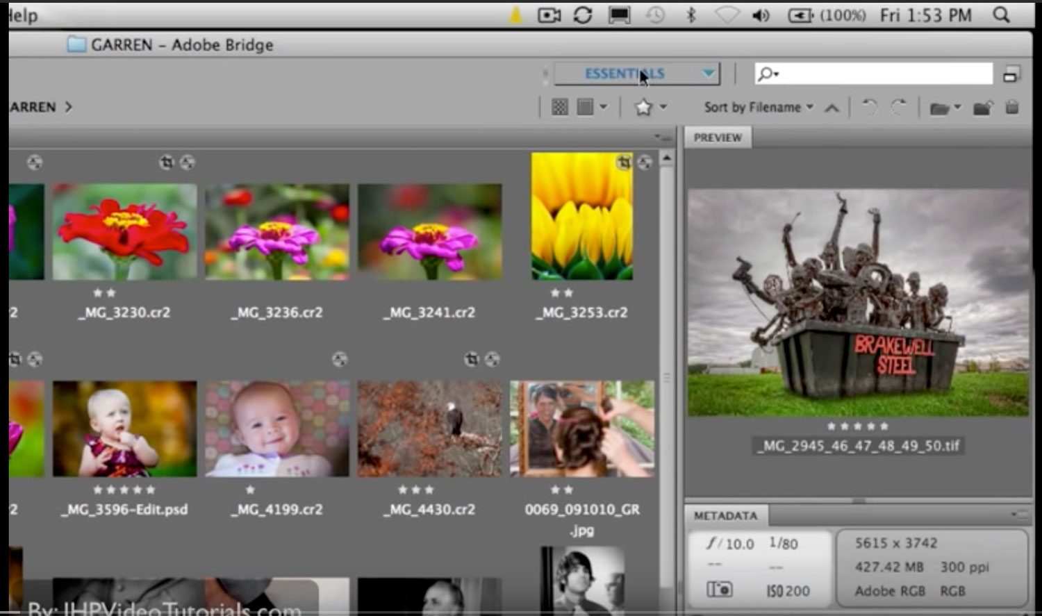 Adobe Bridge – SonyAlphaLab