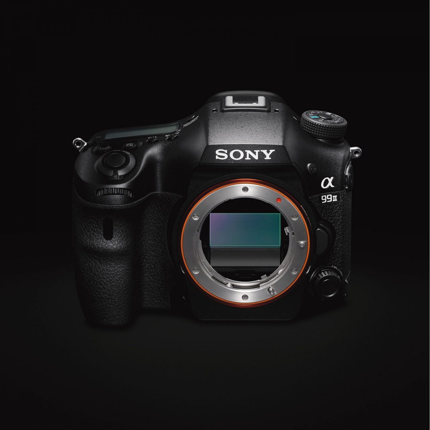 My Sony A57 Review | Real World Perspective – SonyAlphaLab