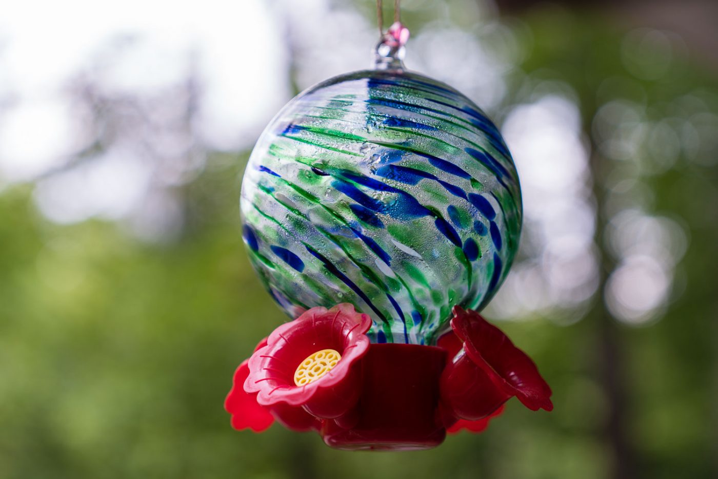 Sony A9 Sample Photos – SonyAlphaLab