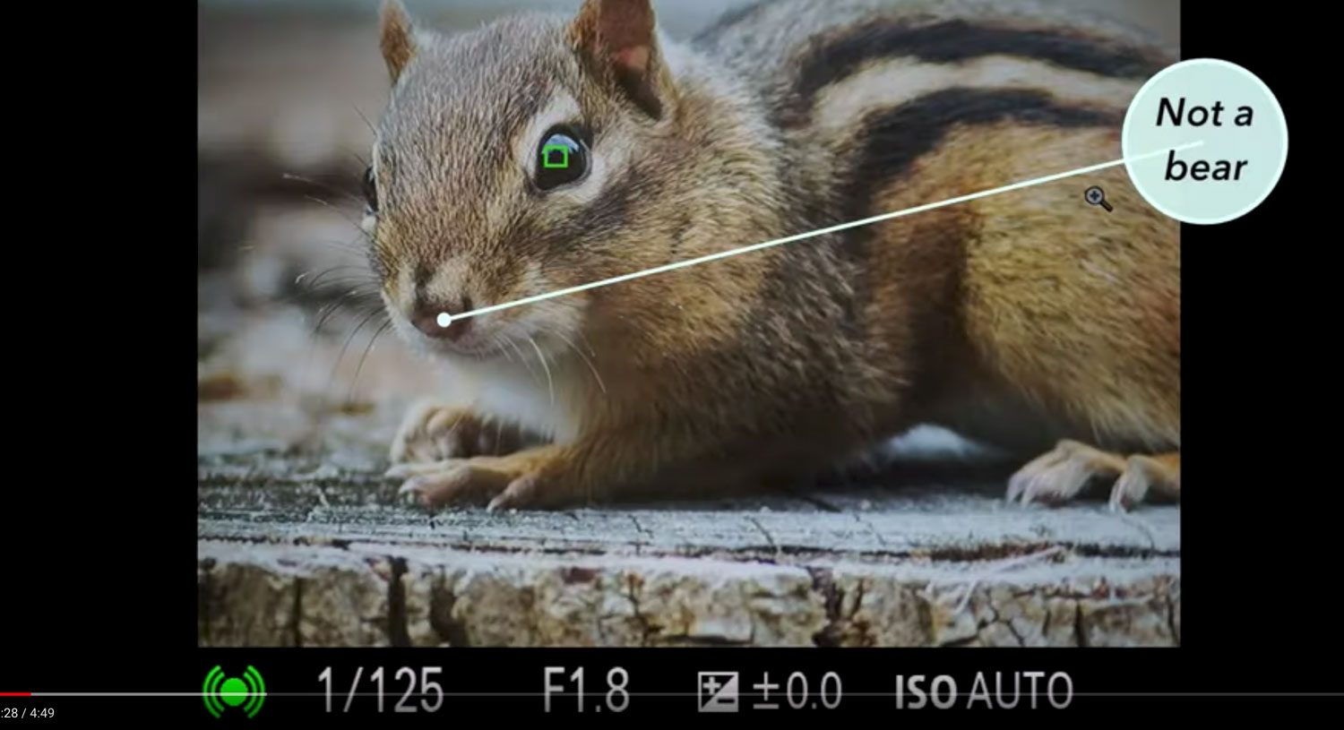 Animal Eye AF is here, but… Sony a7 III and a7R III Firmware Update ...