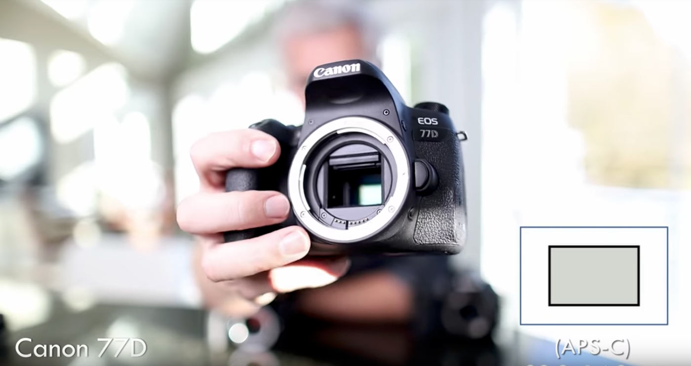 Crop Factor Explained – SonyAlphaLab