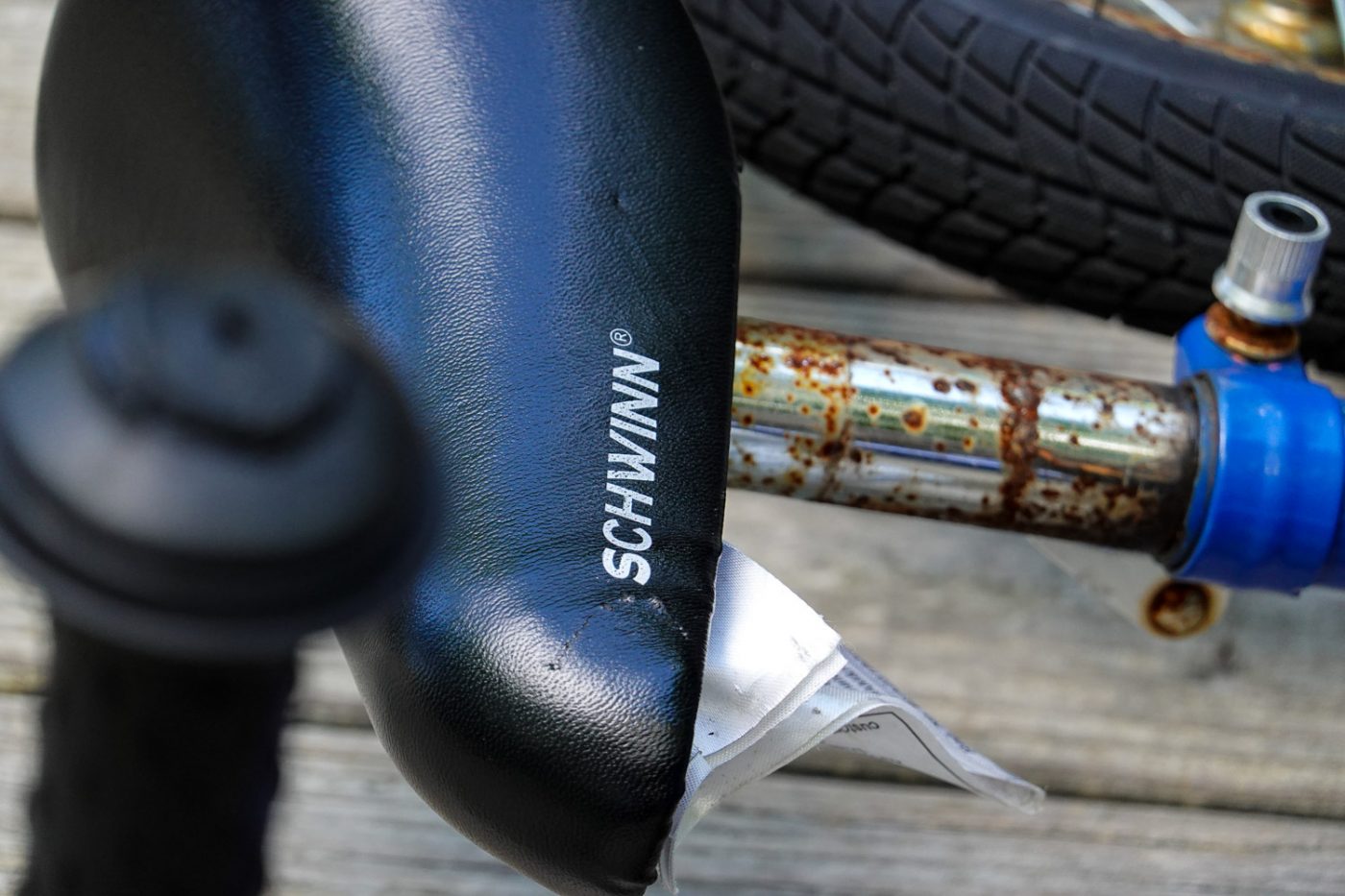 Sony RX100 VI – Sample Photos – SonyAlphaLab