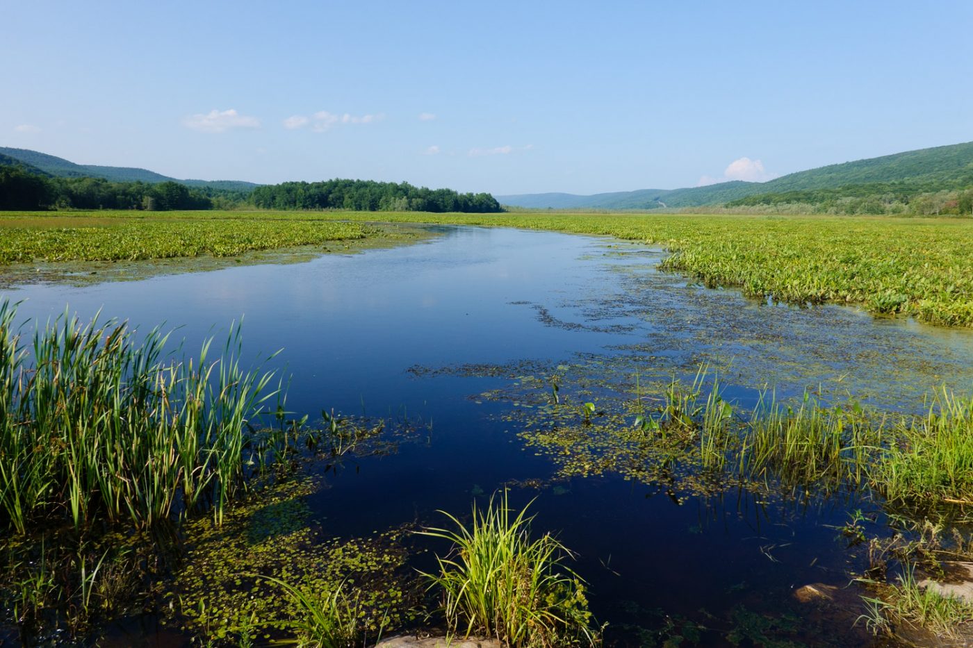 Sony RX100 VI – Sample Photos – SonyAlphaLab