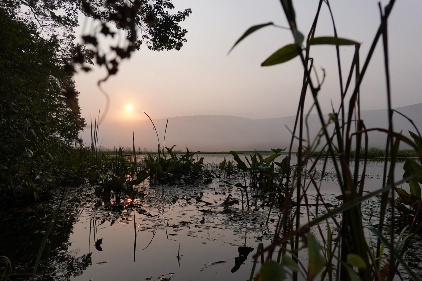 Sony RX100 VI – Sample Photos – SonyAlphaLab