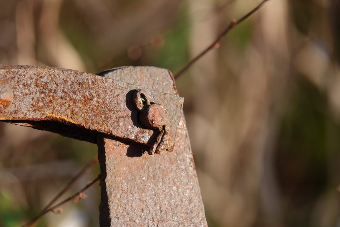 Sony RX10 IV Sample Photos – SonyAlphaLab