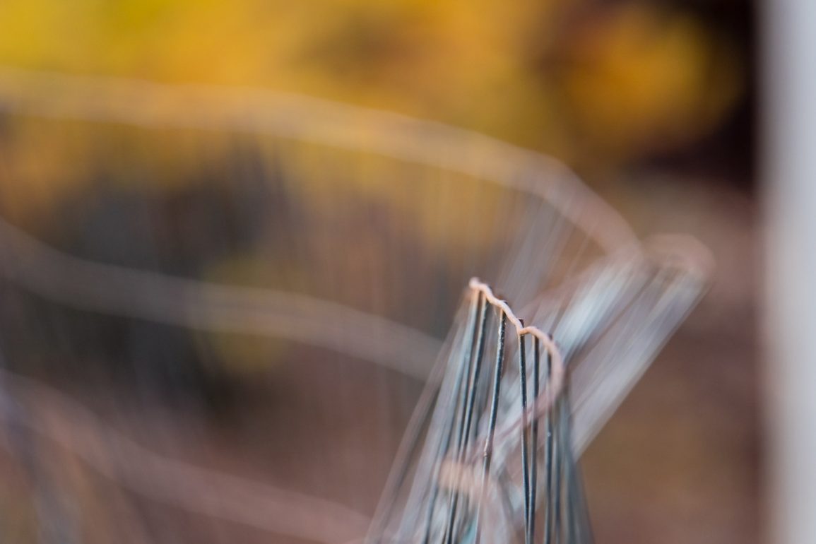 Sony RX10 IV Sample Photos – SonyAlphaLab