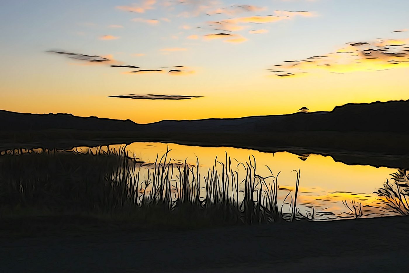 Sony RX10 IV Sample Photos – SonyAlphaLab