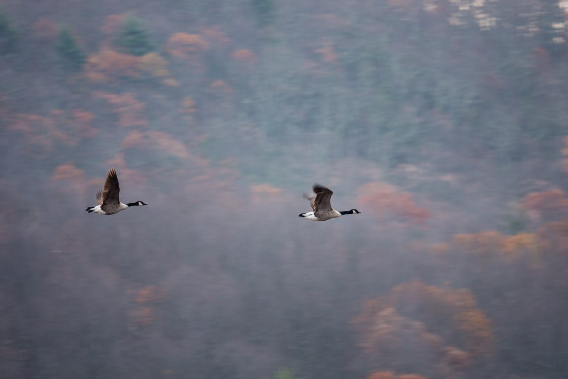 Sony RX10 IV Sample Photos – SonyAlphaLab