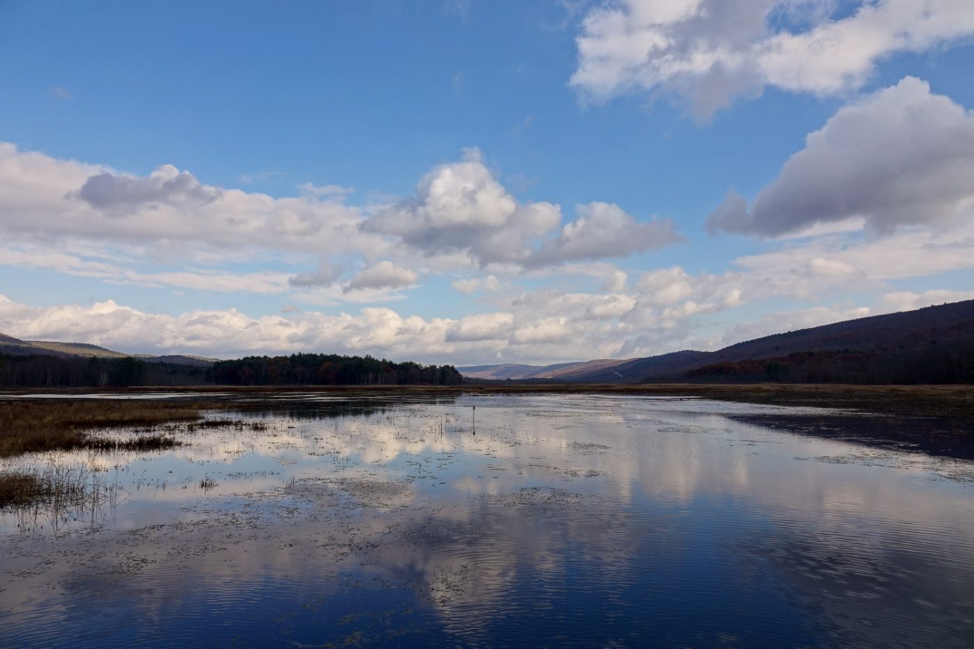 Sony RX10 IV Sample Photos – SonyAlphaLab