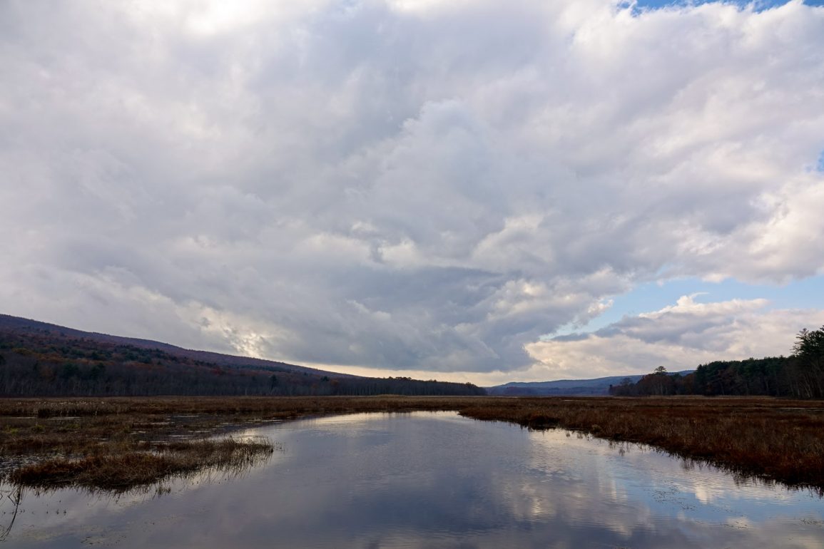 Sony RX10 IV Sample Photos – SonyAlphaLab