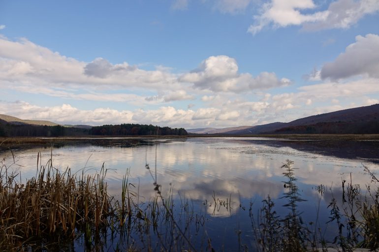 Sony RX10 IV Sample Photos – SonyAlphaLab