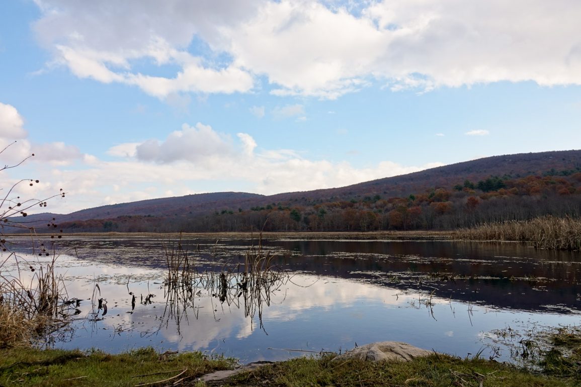 Sony RX10 IV Sample Photos – SonyAlphaLab