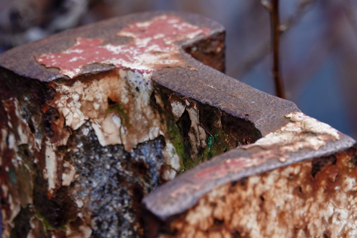 Sony RX10 IV Sample Photos – SonyAlphaLab