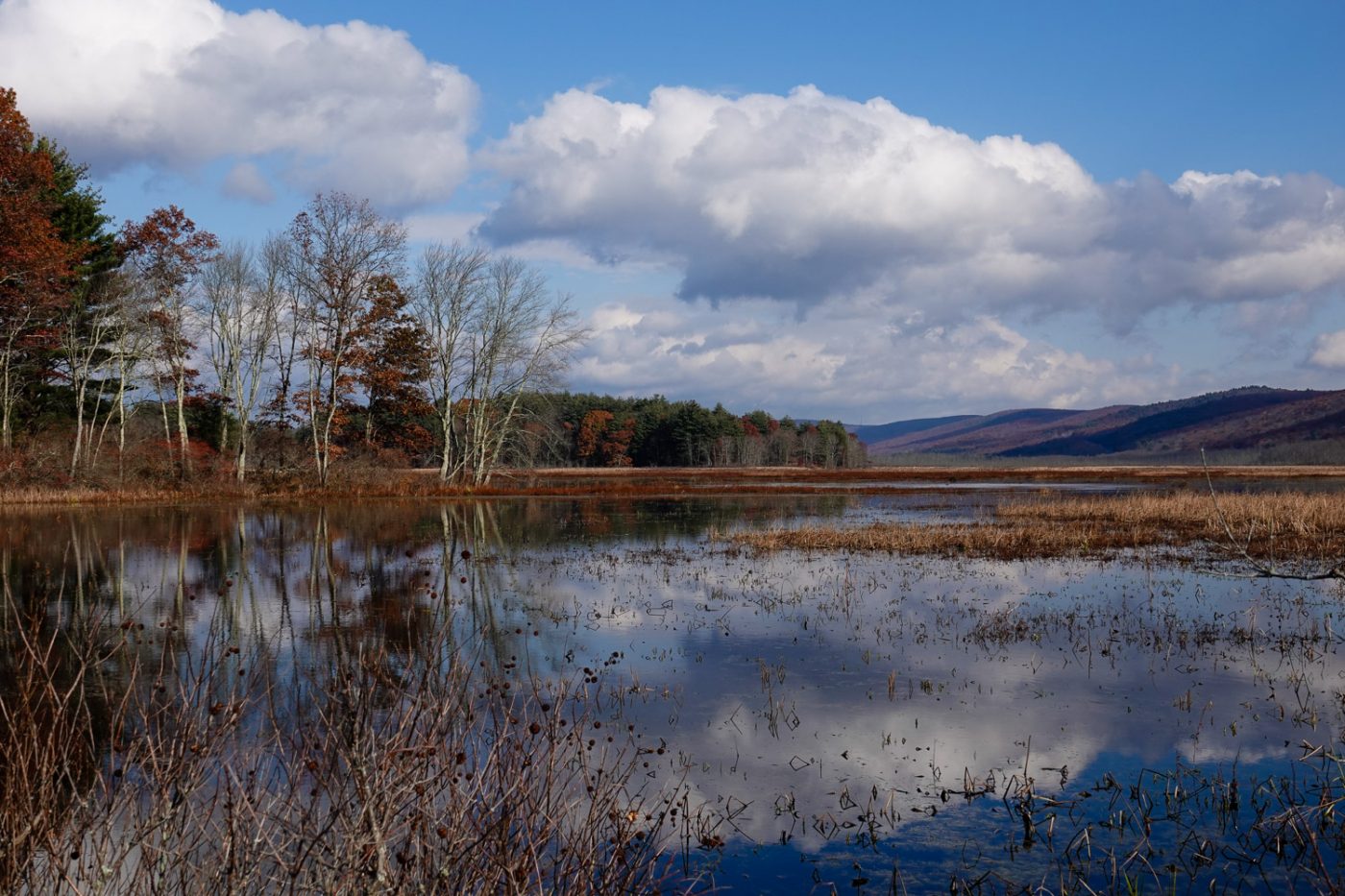 Sony RX10 IV Sample Photos – SonyAlphaLab