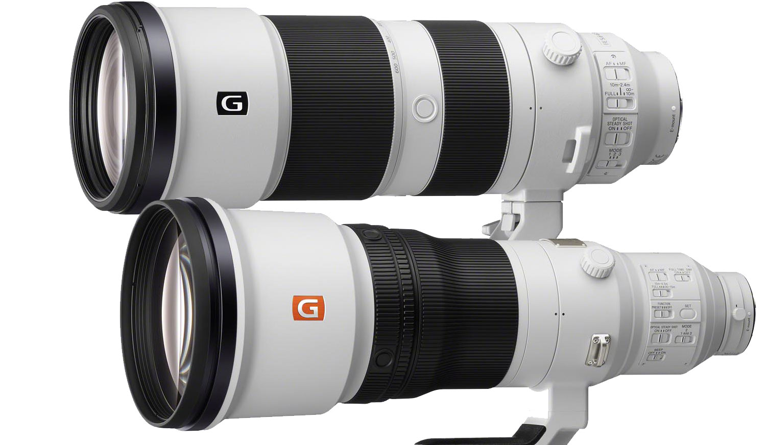 Sony Introduces Super-Telephoto 600mm F4 GM OSS & 200-600mm F5.6-6.3 G ...