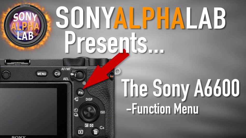 Sony A6600 and The Function Menu (Fn) – How To Use and Customize ...