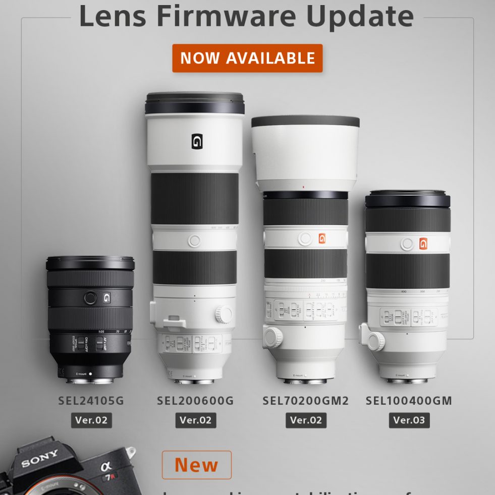 The Best Sony Prime Portrait Lenses! – SonyAlphaLab