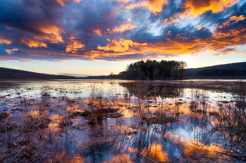 SonyAlphaLab – Sony Camera and Lens Reviews, Guides, Tutorials, and ...